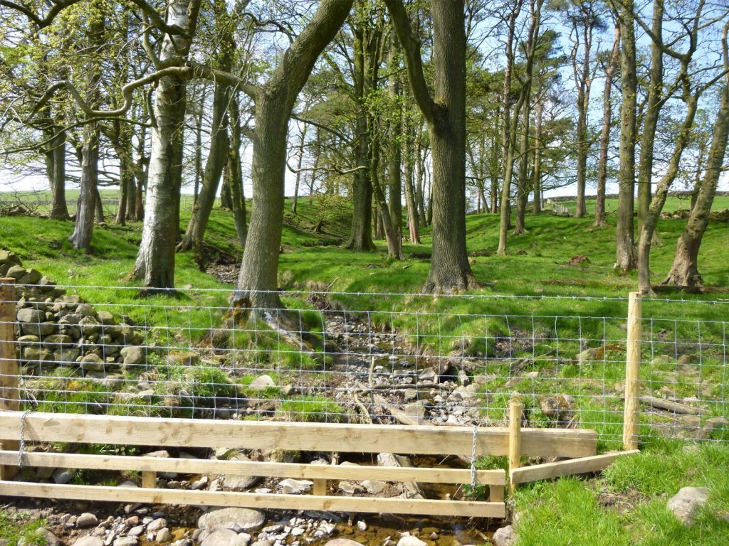 Otterburn Hall Farm – The Upper Aire Project